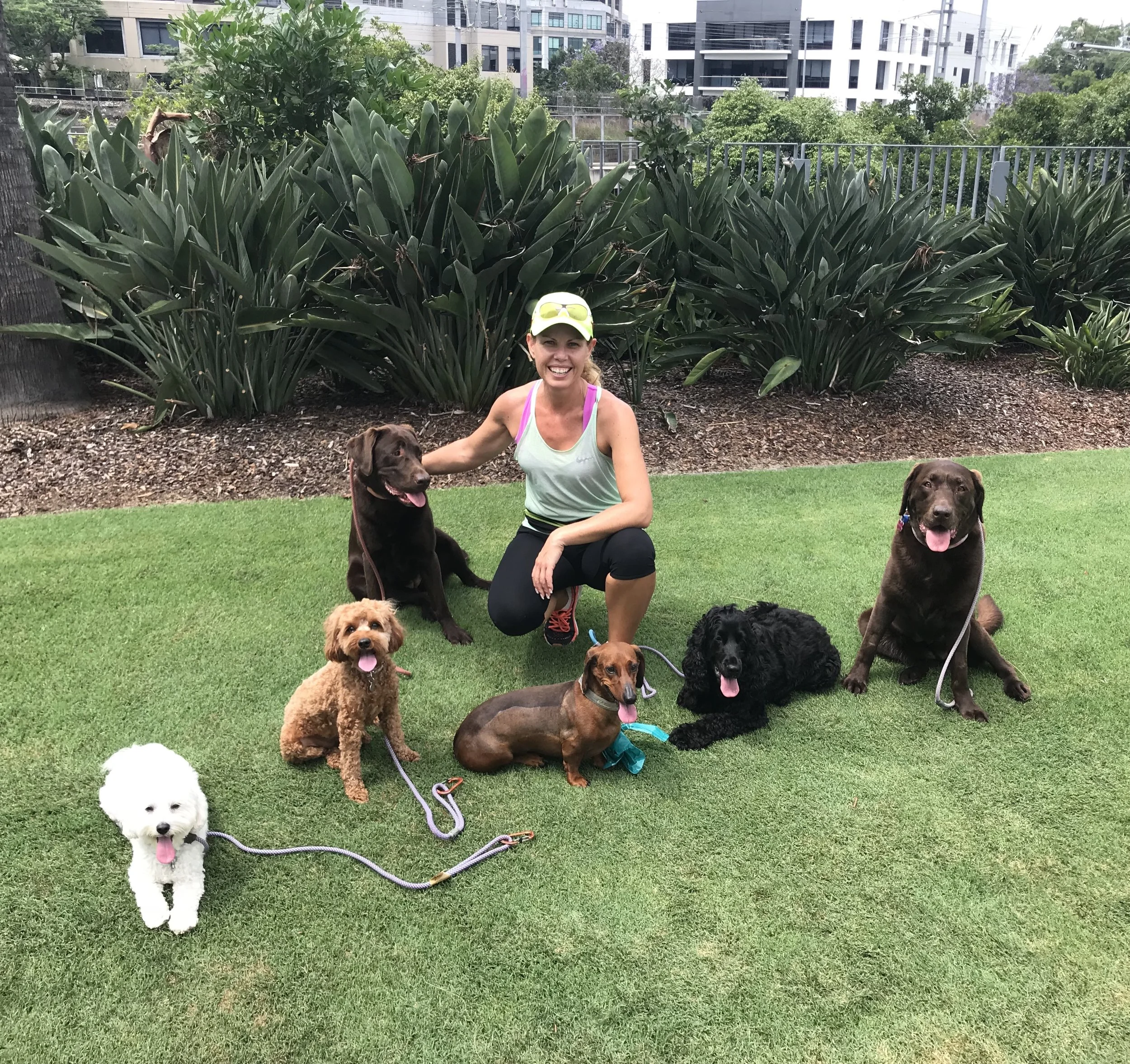Doggy Social Days — SOS Dogs Australia