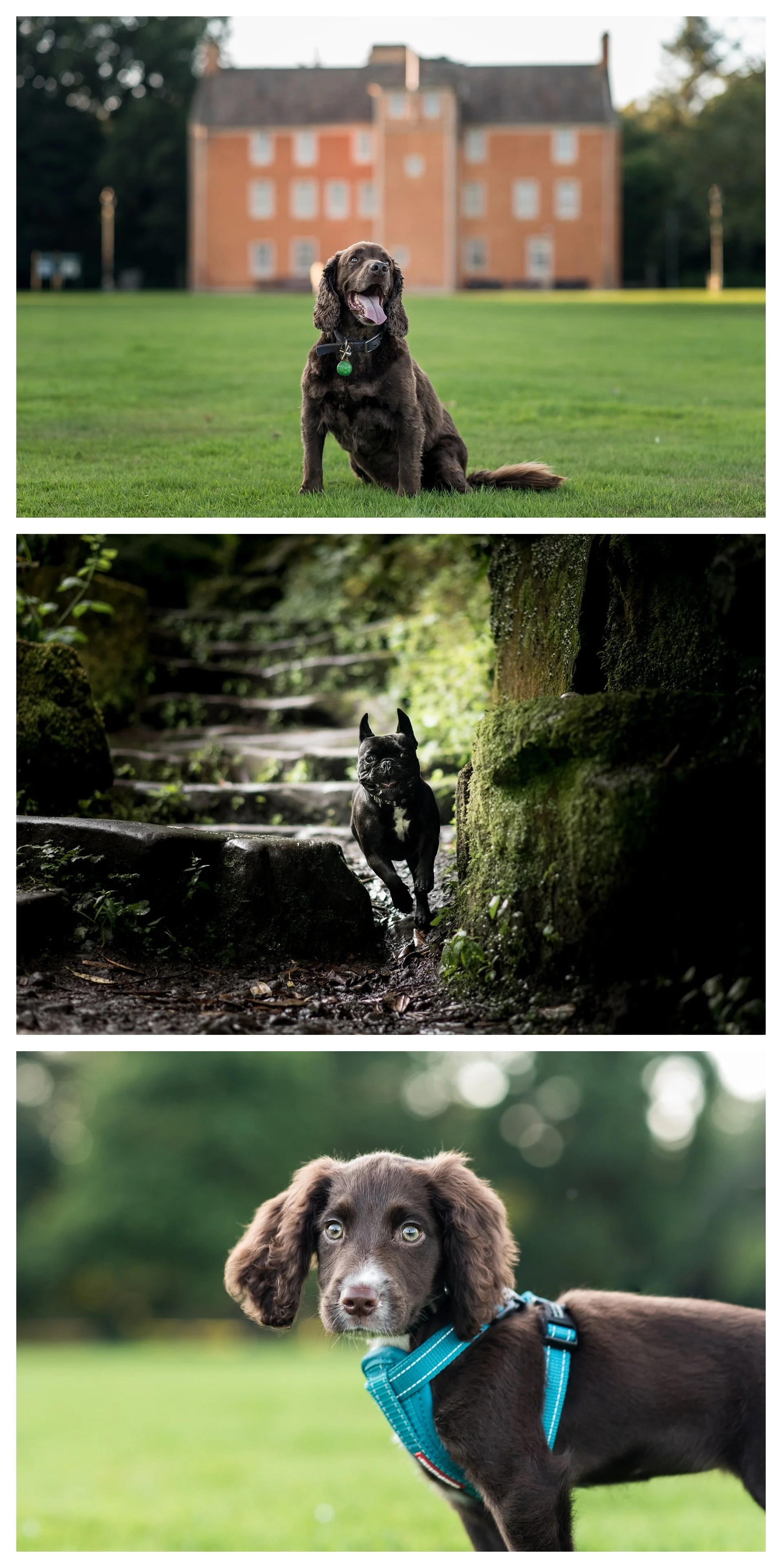 Dunfermline Photography — Ali Jay Photography