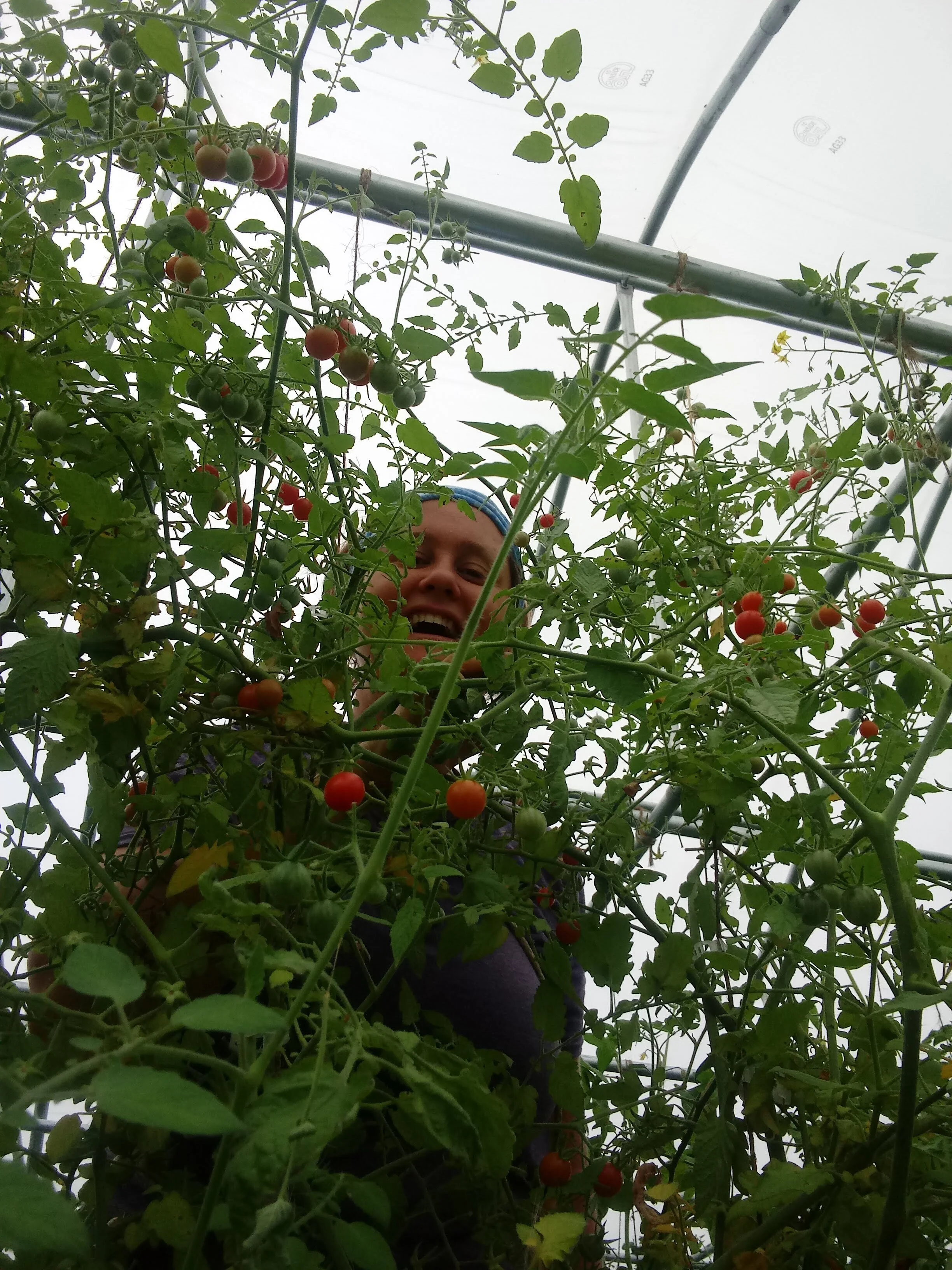 About us — Rise & Root Farm