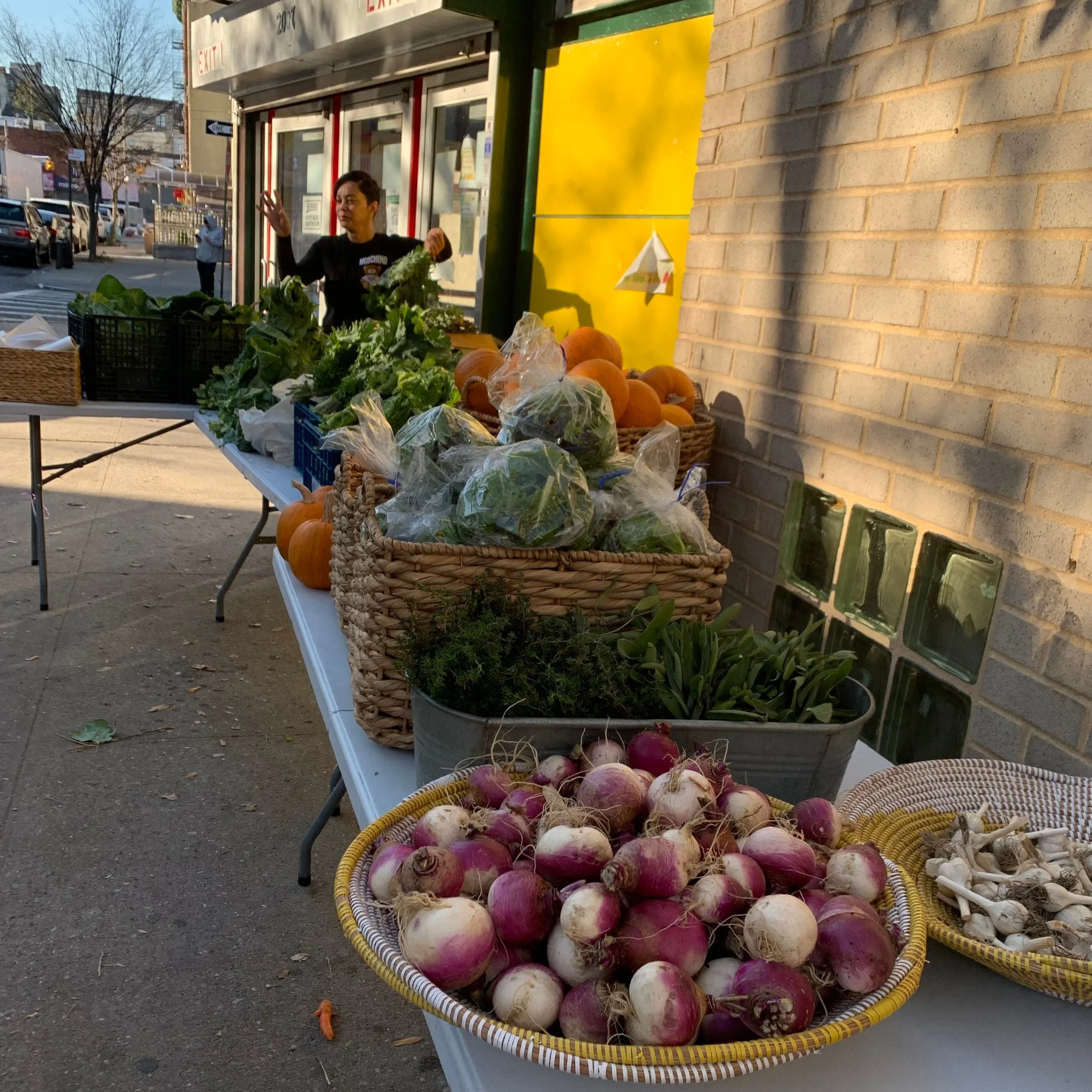 About us — Rise & Root Farm