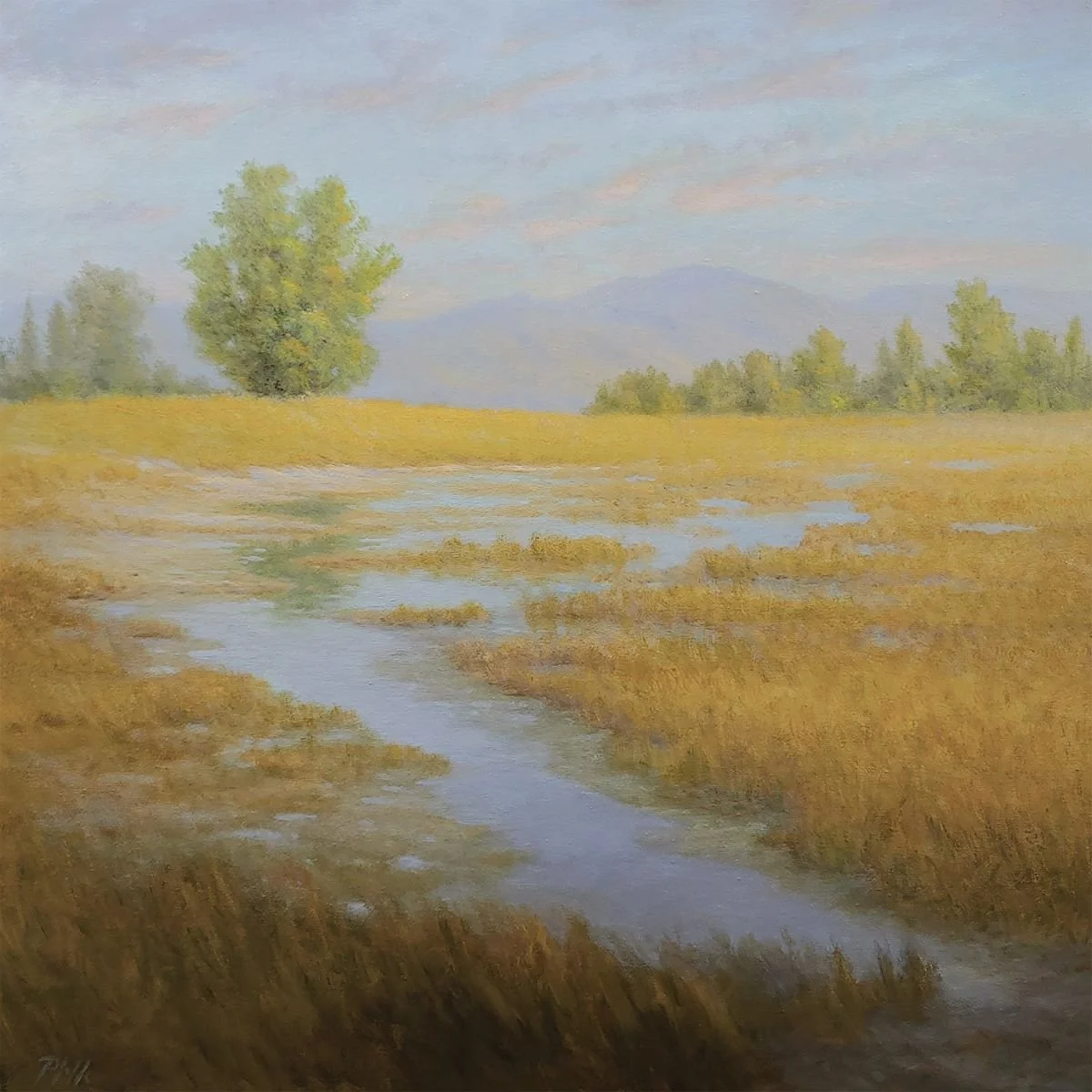 Carrie Goller Gallery