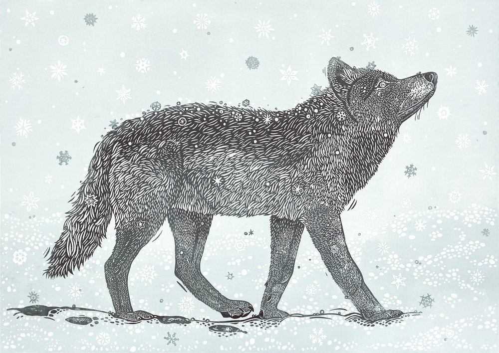 Wolf Walking Drawing