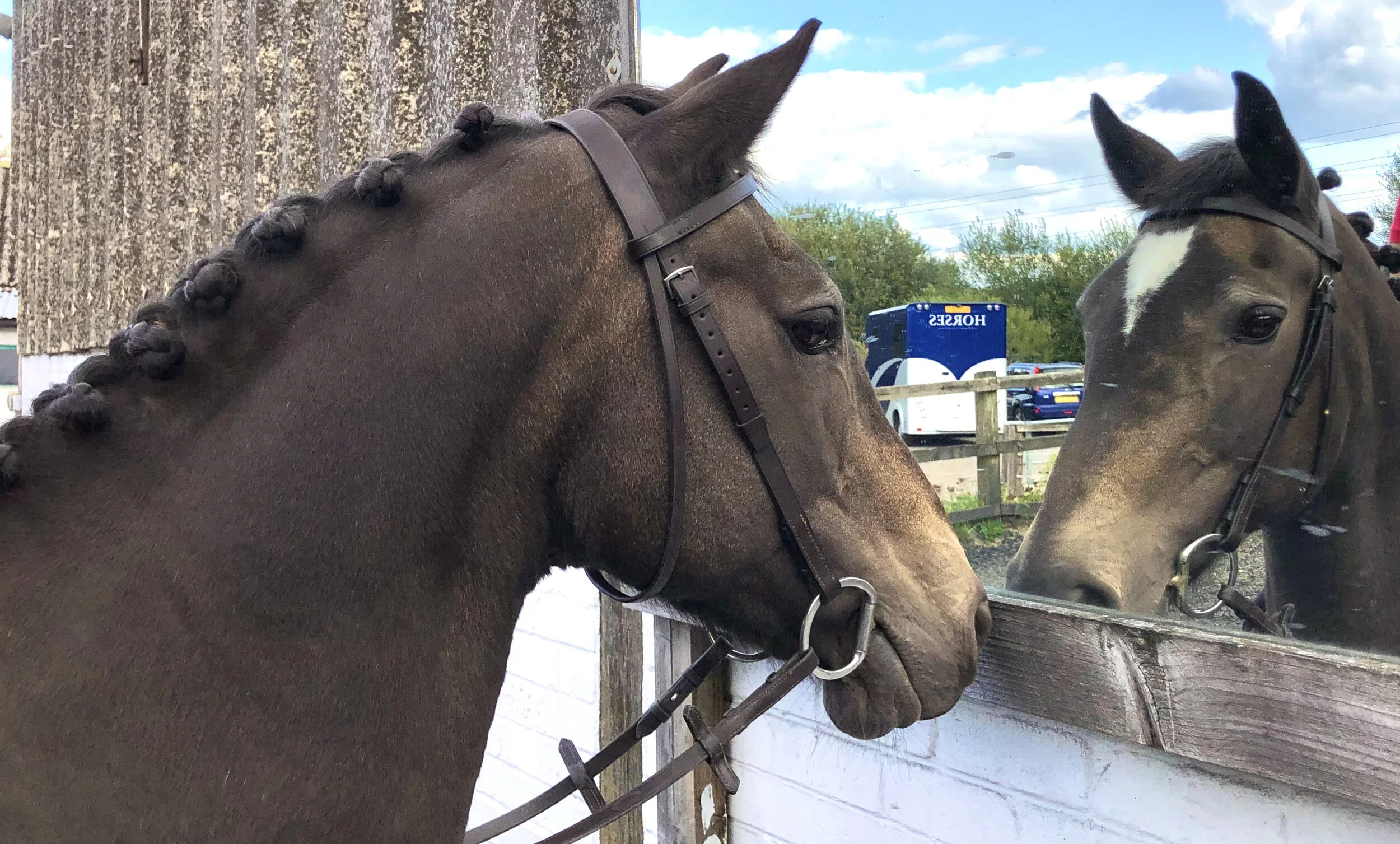 Blog — At The Yard