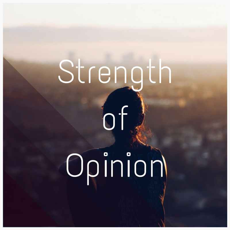 Strength of Opinion — the goddard company