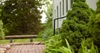 Plan Your Visit — Bingham-Waggoner Mansion & Estate