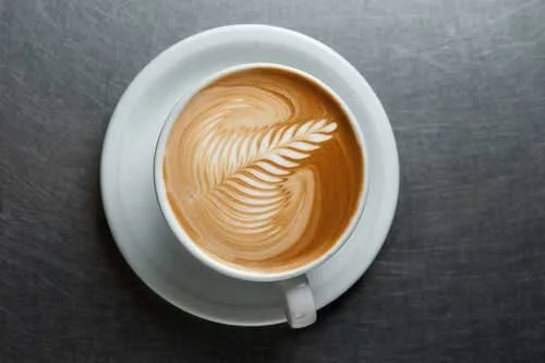 Extracto Coffee Roasters | Northeast Portland