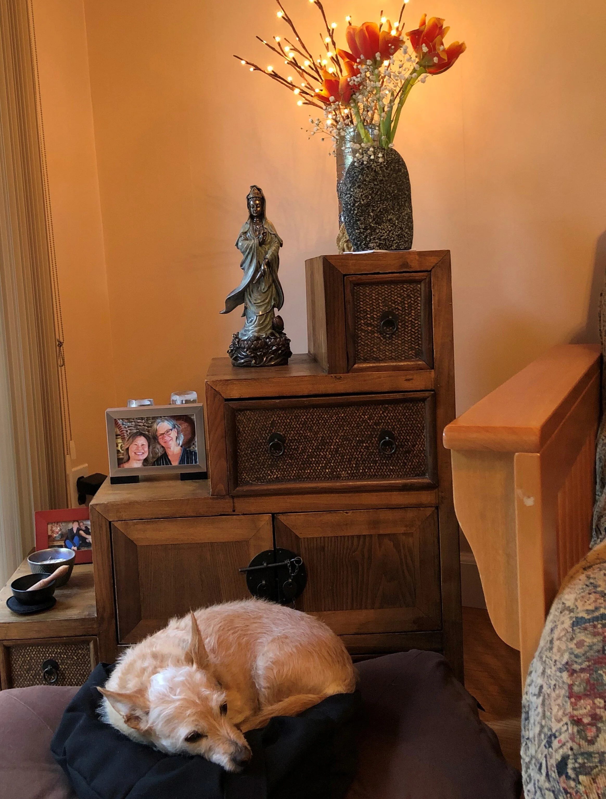 Photo Gallery — Mountain Rain Zen Community