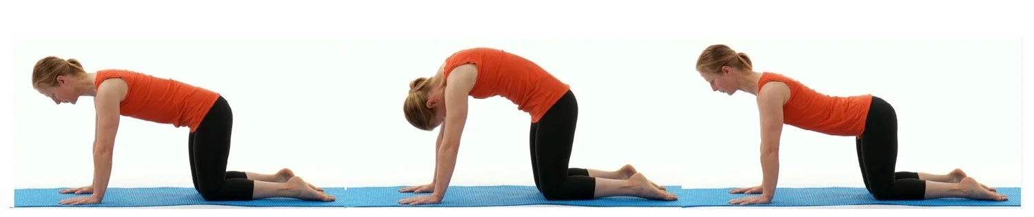5 Amazing Low Back Stretches - Spectrum Health