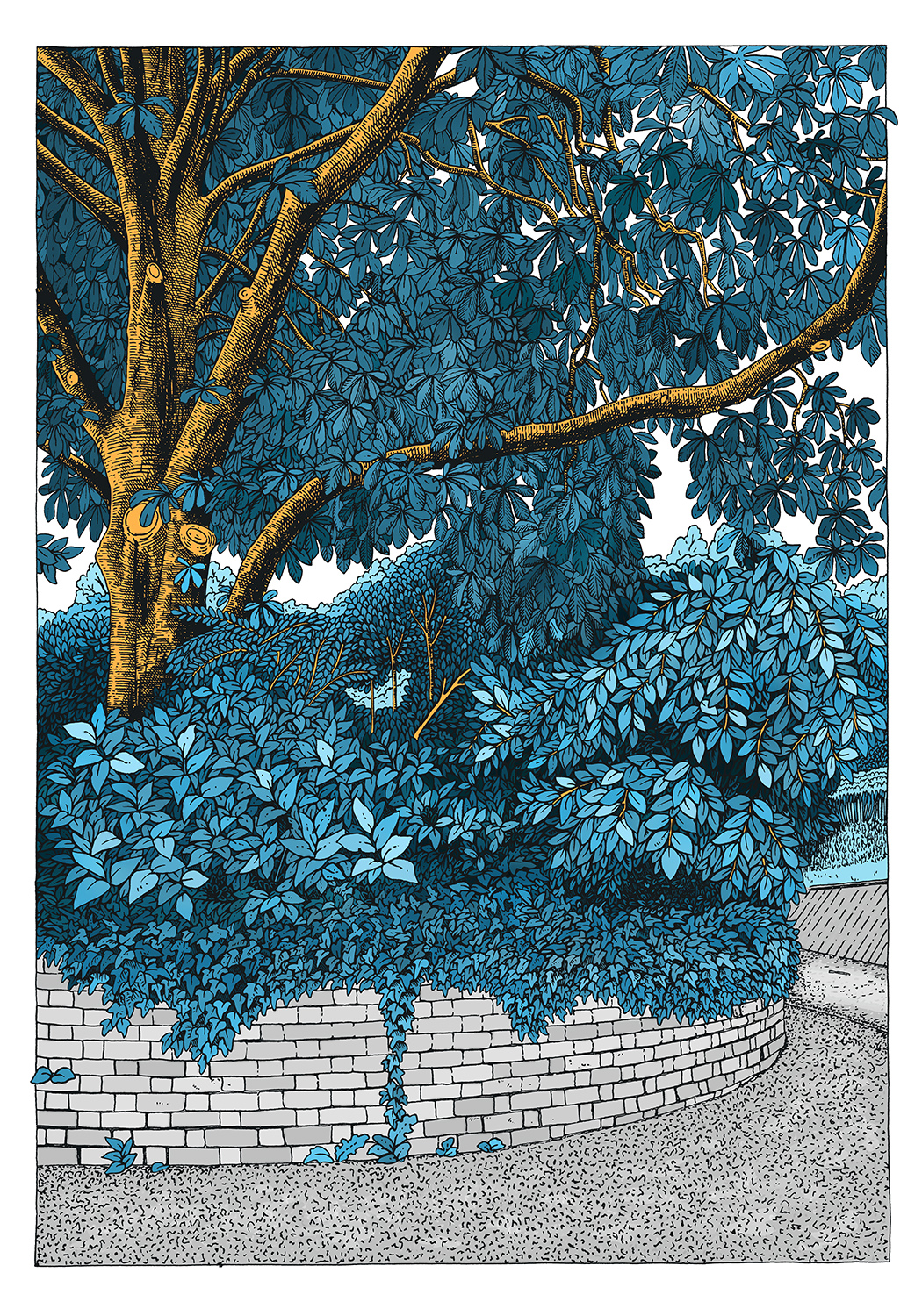 Claire Scully, Claire Scully