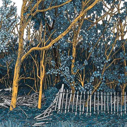 Claire Scully, Claire Scully