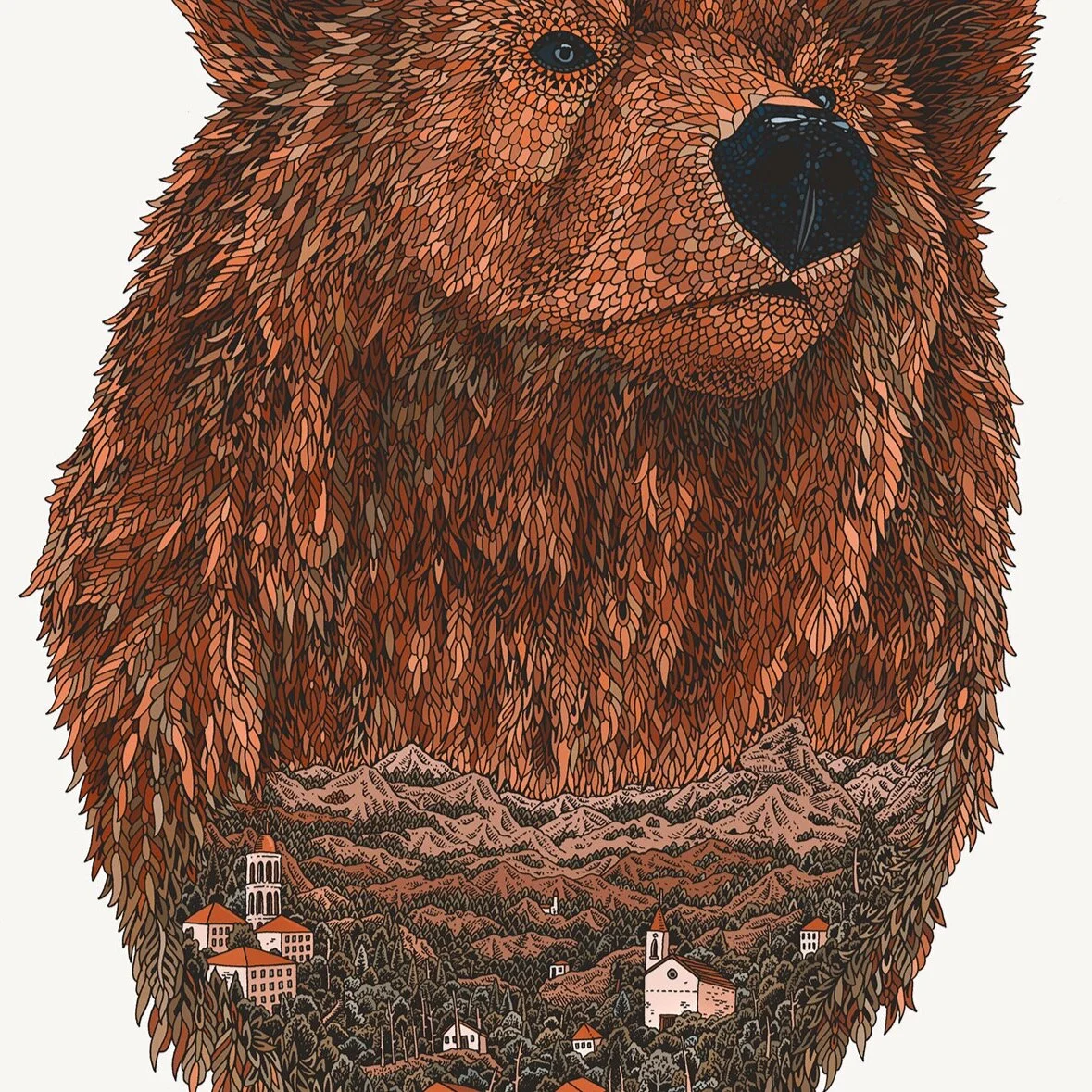 Claire Scully, Claire Scully