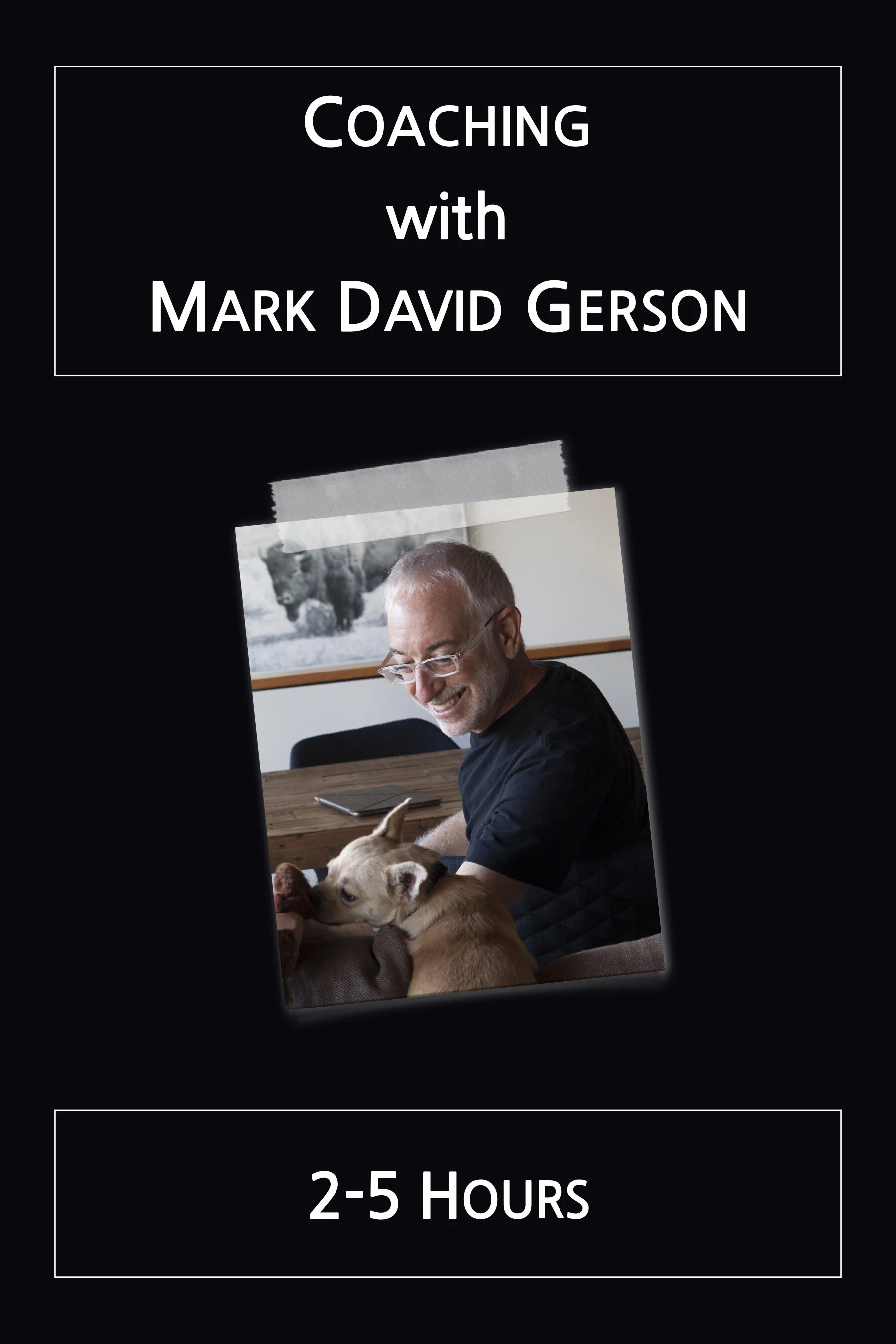 Coaching Sessions — Mark David Gerson