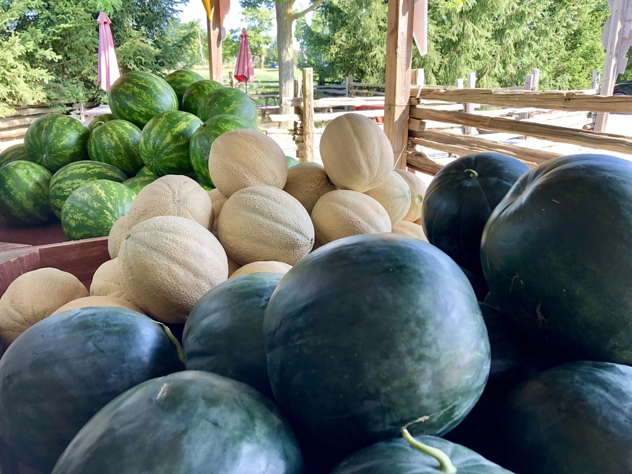 Allison’s Farm Market in Georgetown Ontario