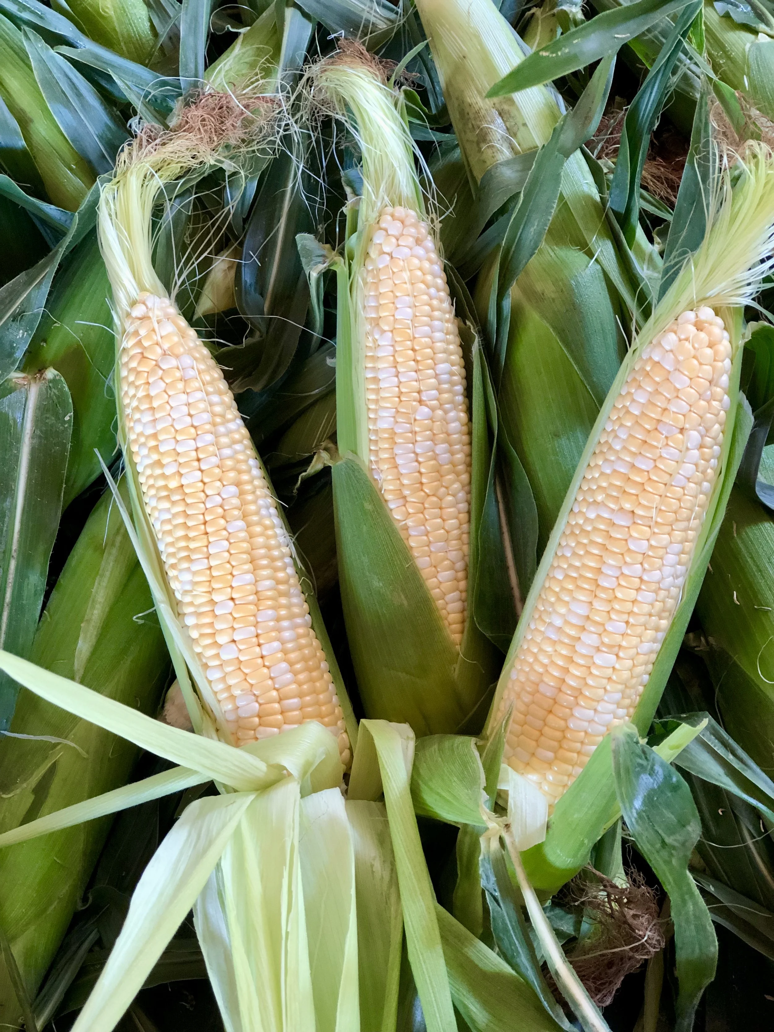 Allison’s Farm Market in Georgetown Ontario