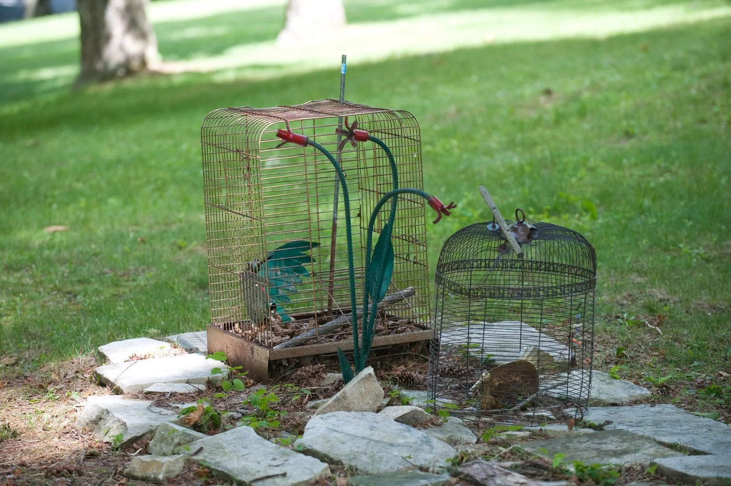 Scriptures as How to Behave as a Bird — Museum of the Creative Process