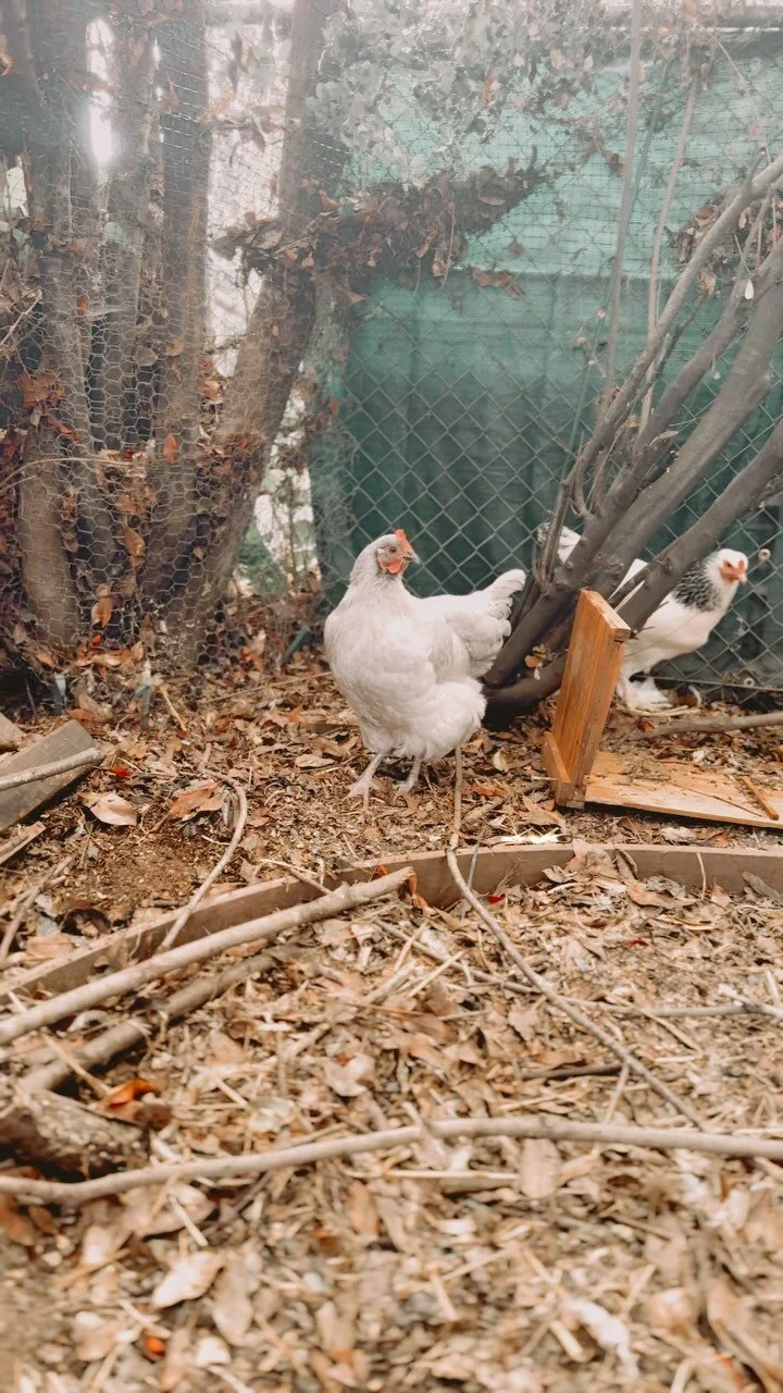 How do superheroes handle disability? What disabled superhero should I ...