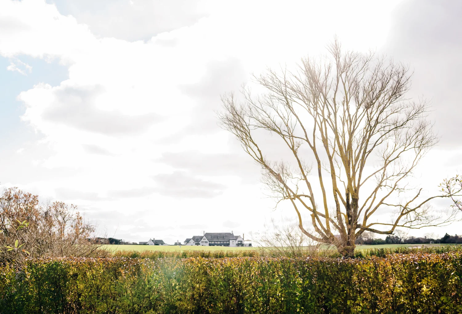 Blog — Amanda Kirkpatrick