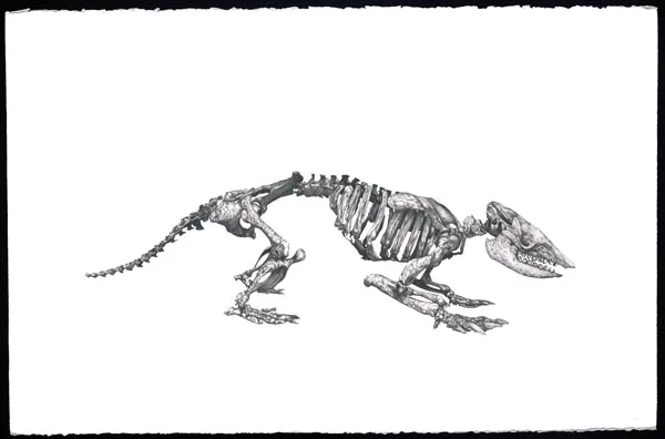 Jeff Hoppa — EFA Studio Program