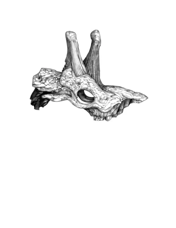 Jeff Hoppa — EFA Studio Program