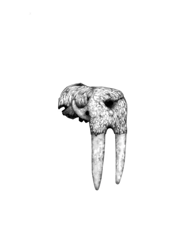 Jeff Hoppa — EFA Studio Program