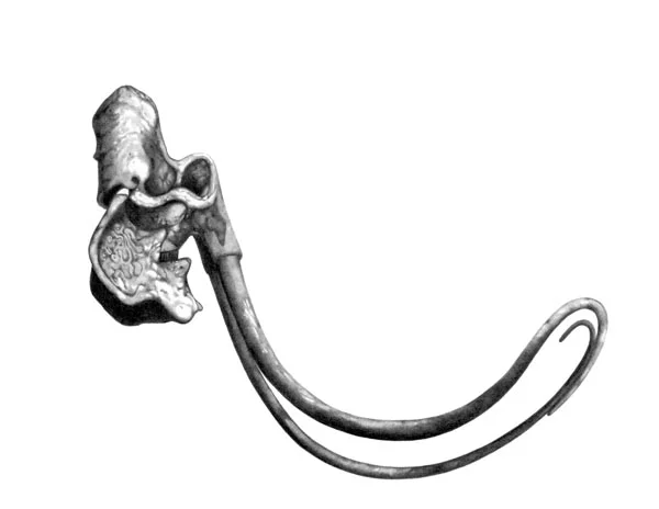 Jeff Hoppa — EFA Studio Program