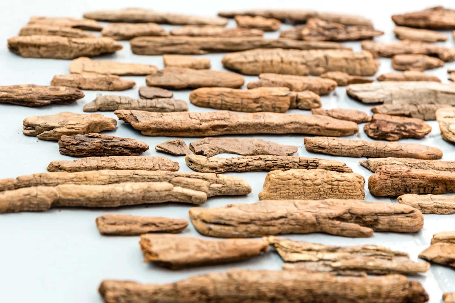 2015 — EFA Studio Program