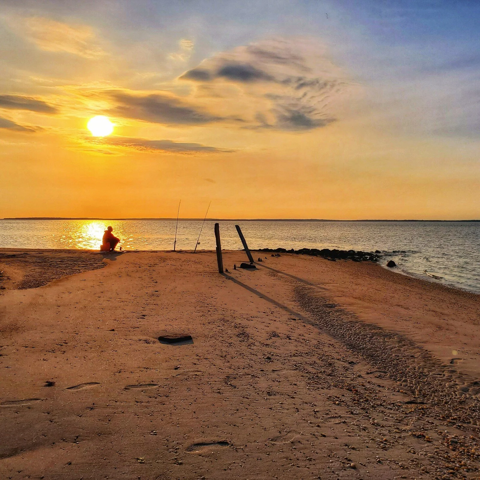 North Fork Residency — EFA Studio Program