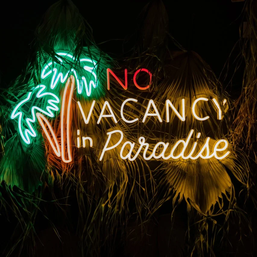 Anina Major — EFA Studio Program