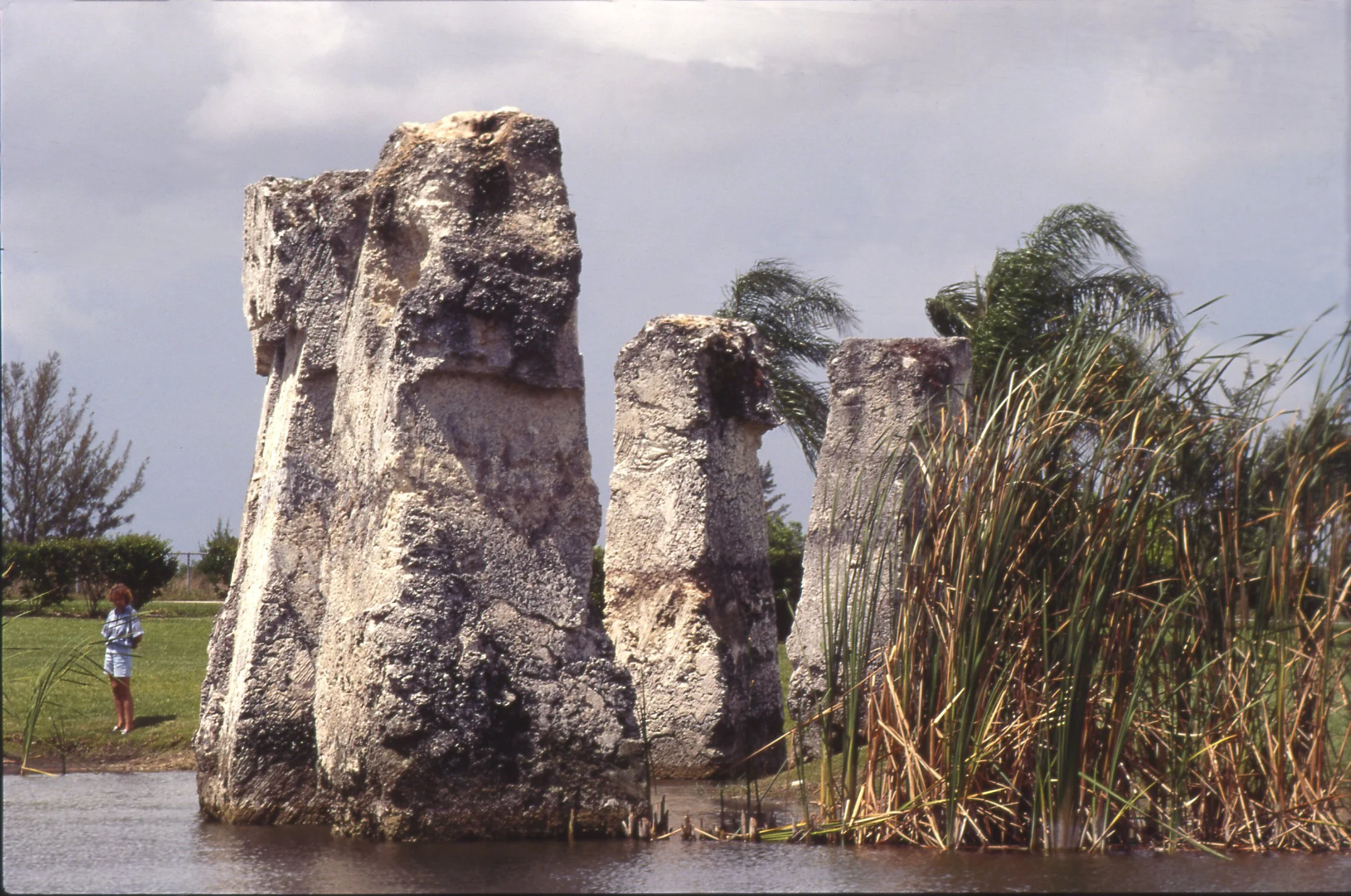 Patricia Leighton — EFA Studio Program