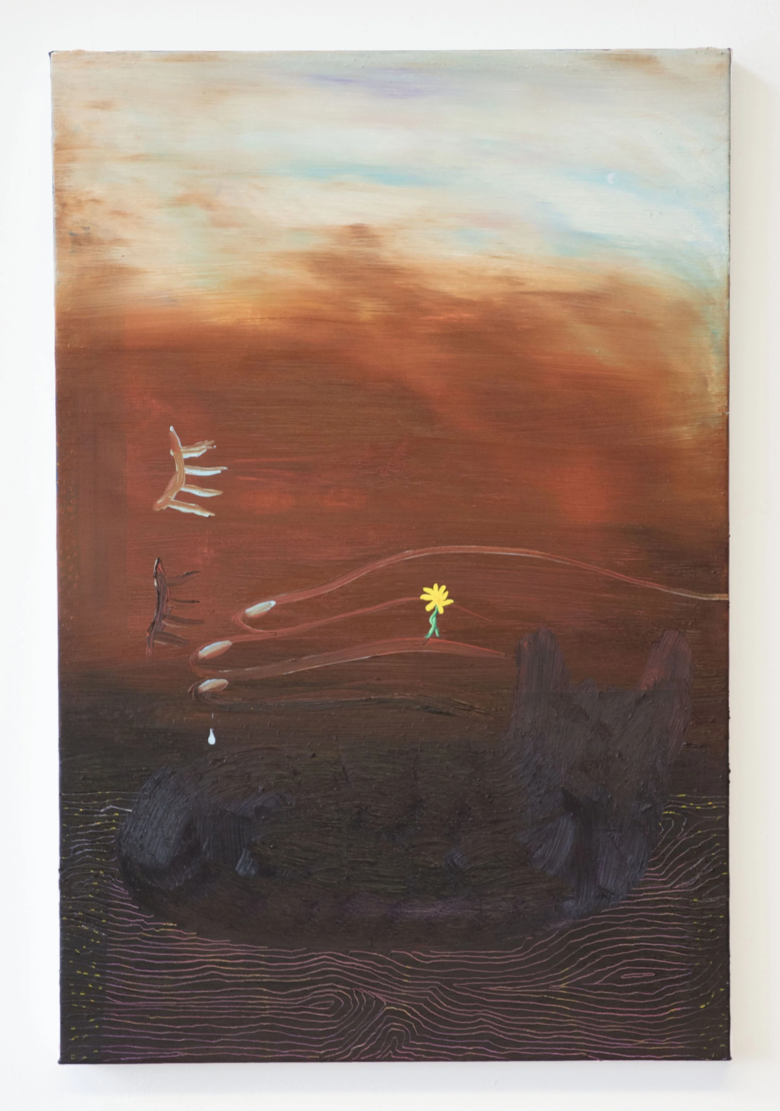 Calvin Kim — EFA Studio Program