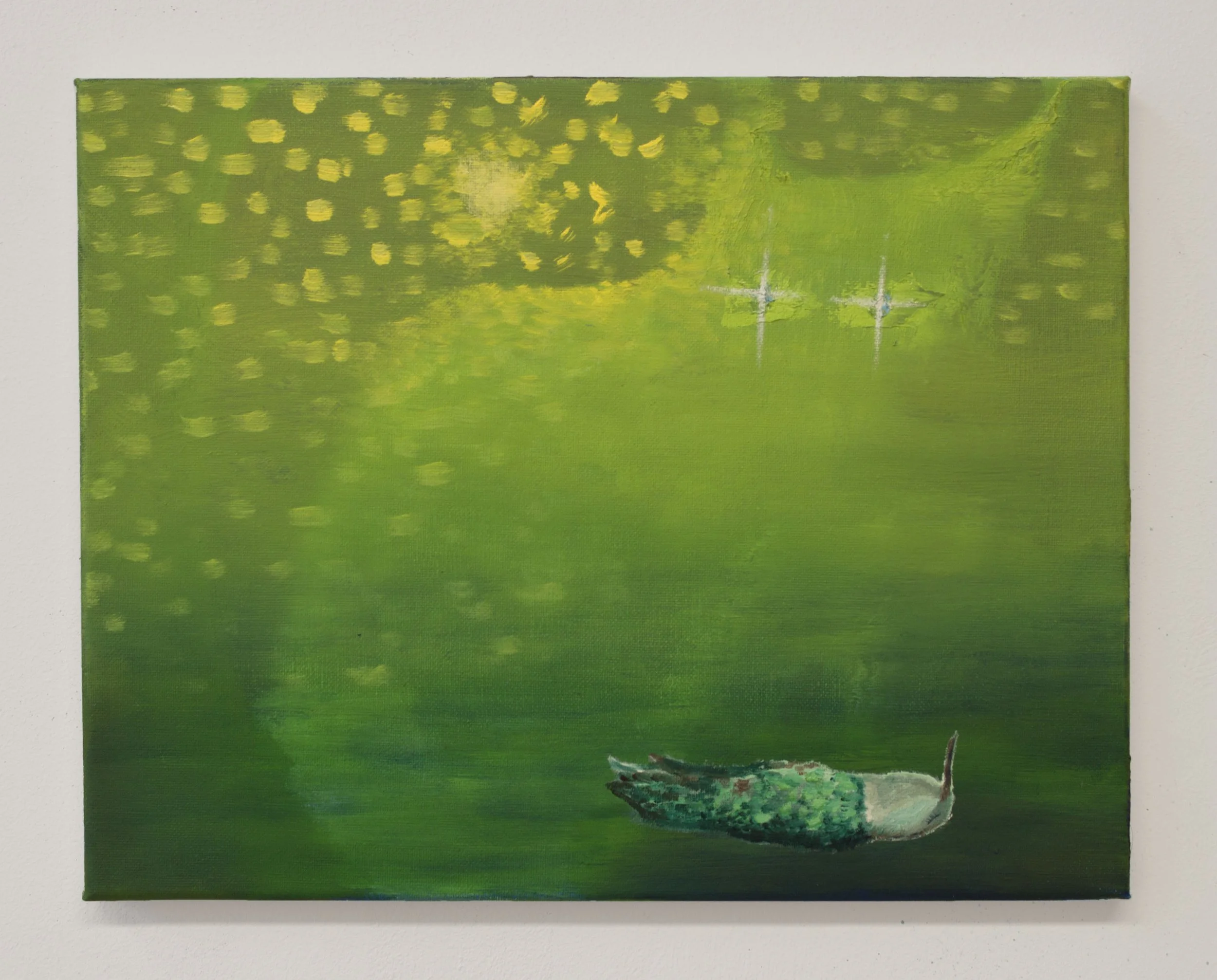 Calvin Kim — EFA Studio Program