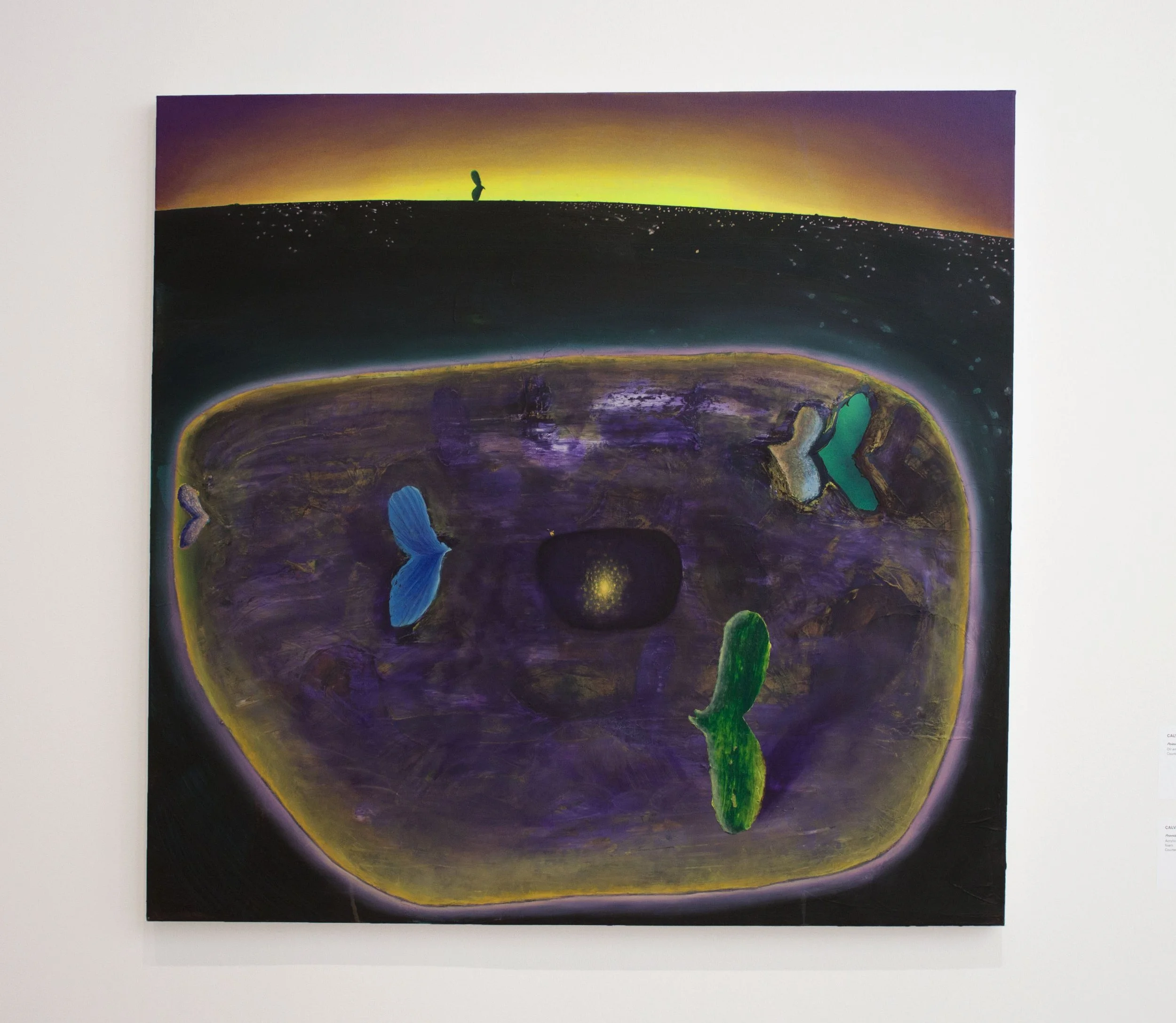 Calvin Kim — EFA Studio Program