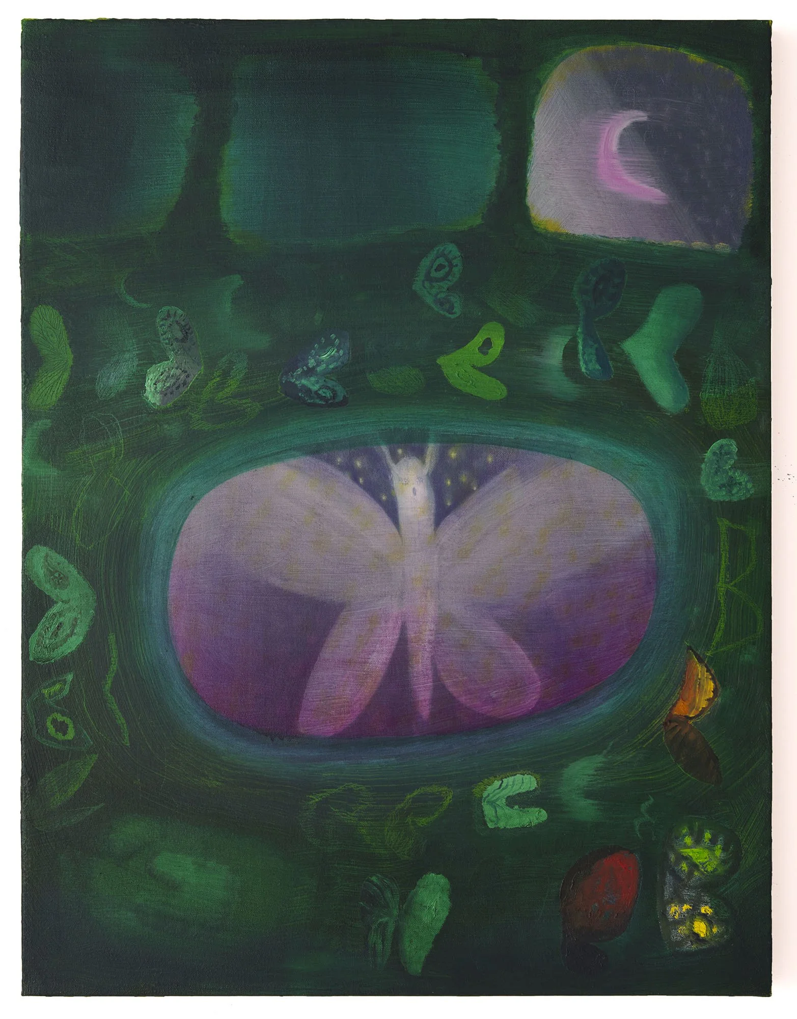 Calvin Kim — EFA Studio Program