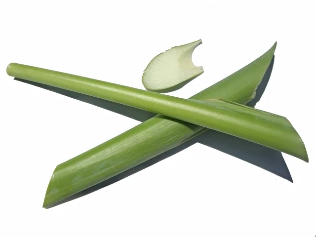 Bac Ha — PANDA PRODUCE, INC.