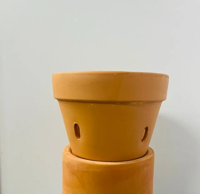 Orchid Pot | Natty Garden