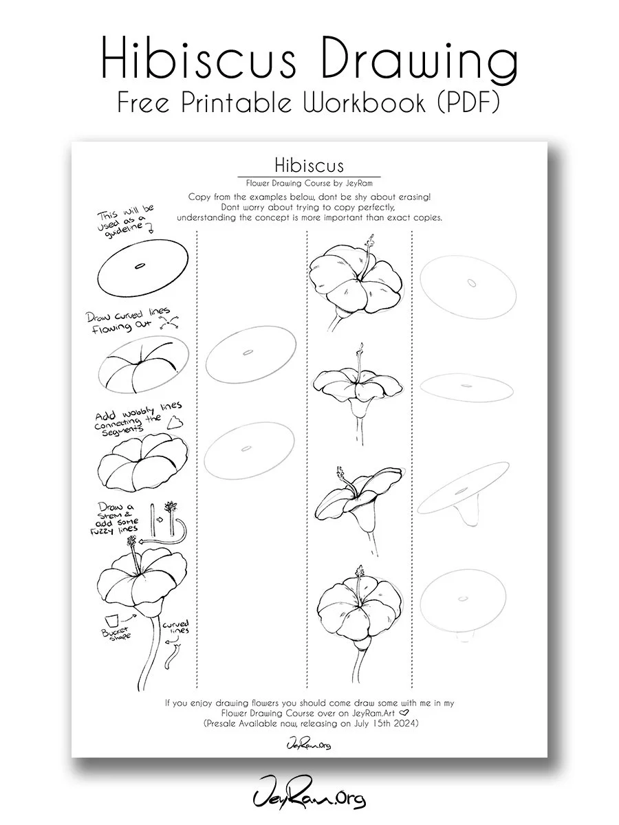 How to Draw a Hibiscus : Step by Step for Beginners - JeyRam Drawing ...