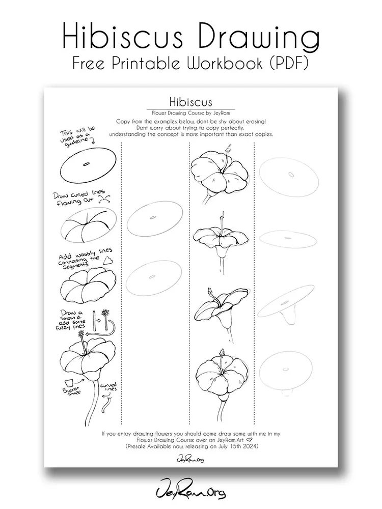 How to Draw a Hibiscus : Step by Step for Beginners - JeyRam Drawing ...