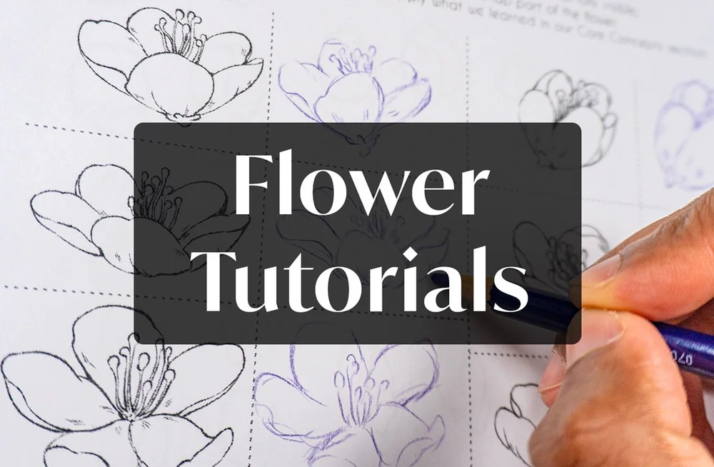 JeyRam: Beginner Drawing Tutorials
