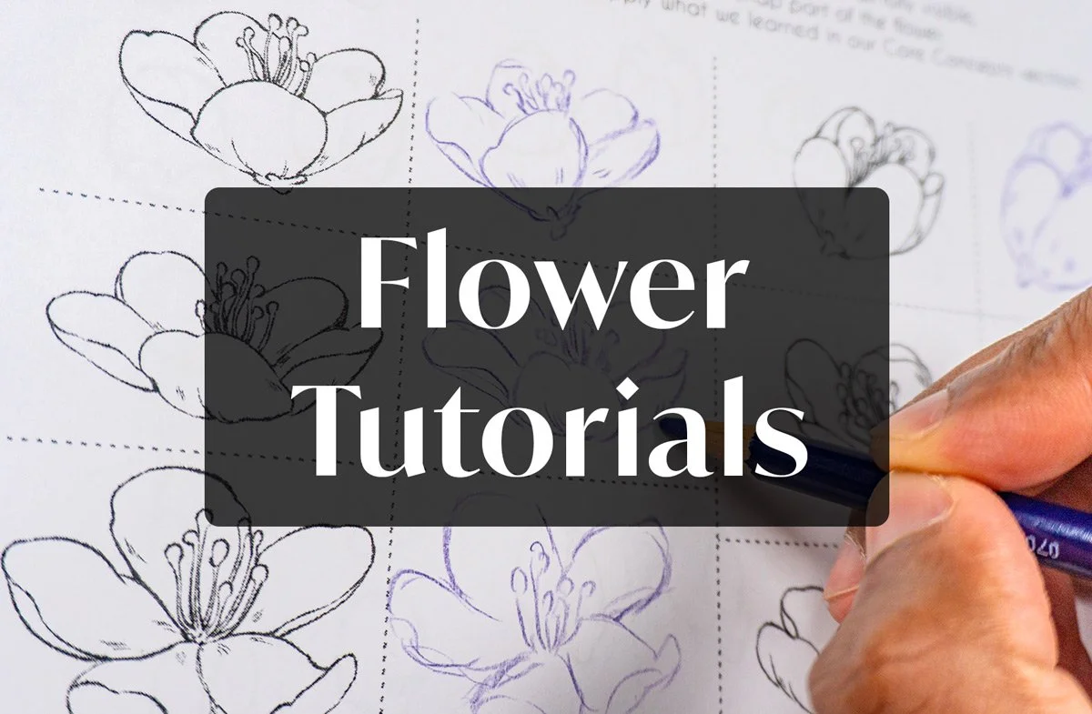 JeyRam: Beginner Drawing Tutorials