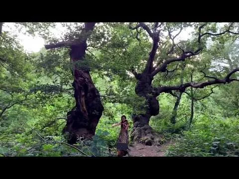 Official Music Videos — Violeta Vicci