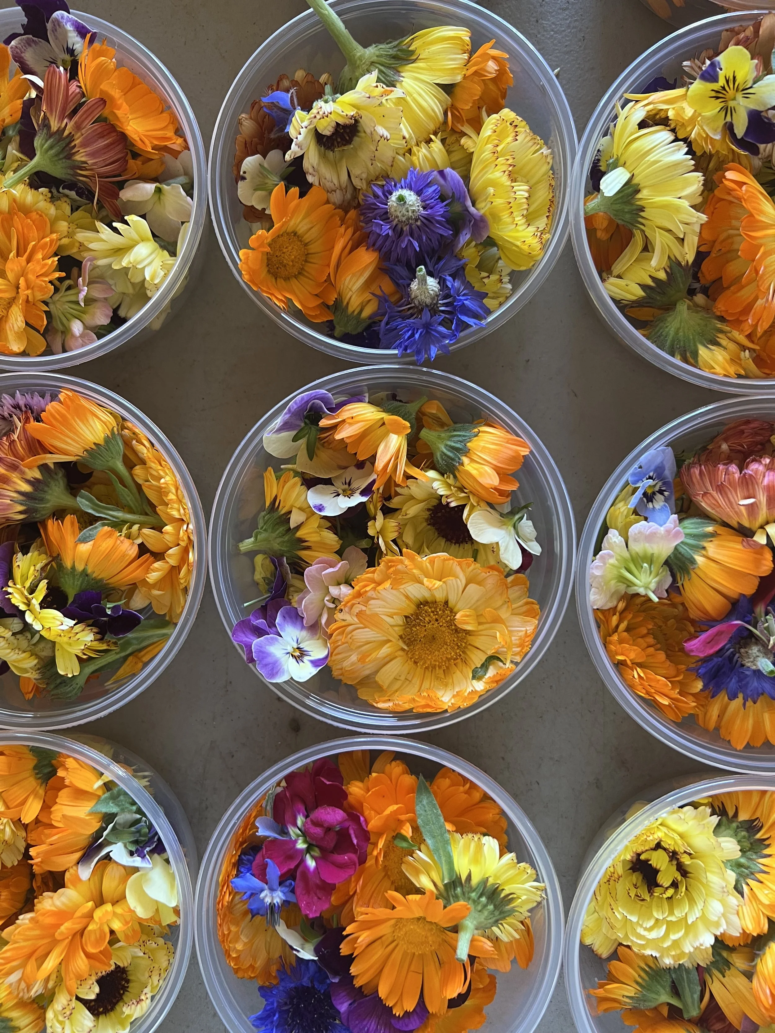 Farm Stand — HAPPY ACRE FARM