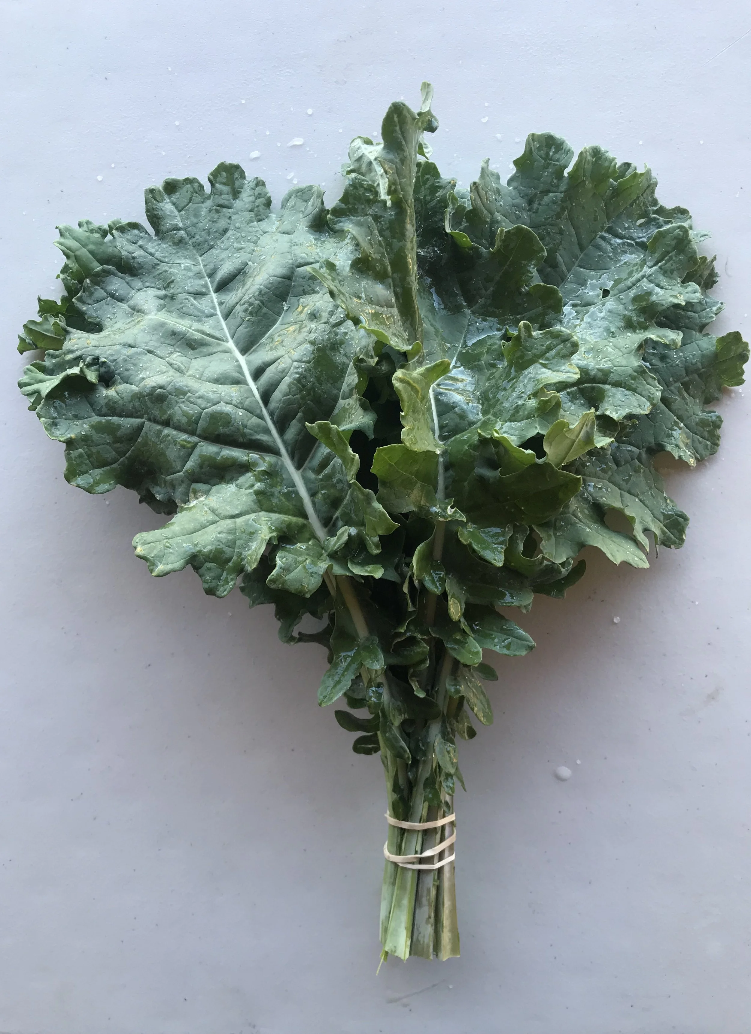 Farm Stand — HAPPY ACRE FARM