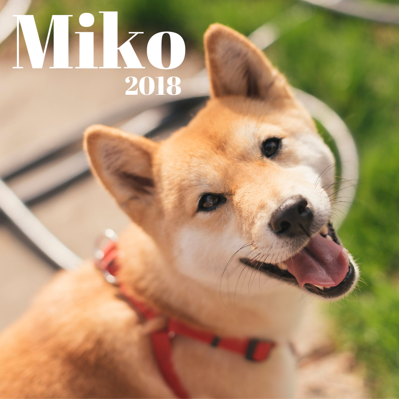 In Memory — Midwest Shiba Inu Rescue