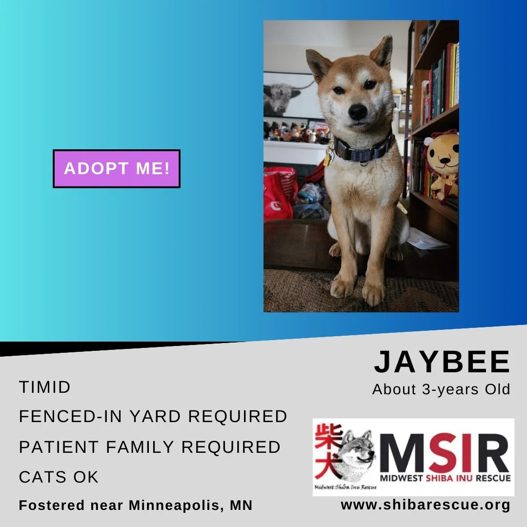 Midwest Shiba Inu Rescue