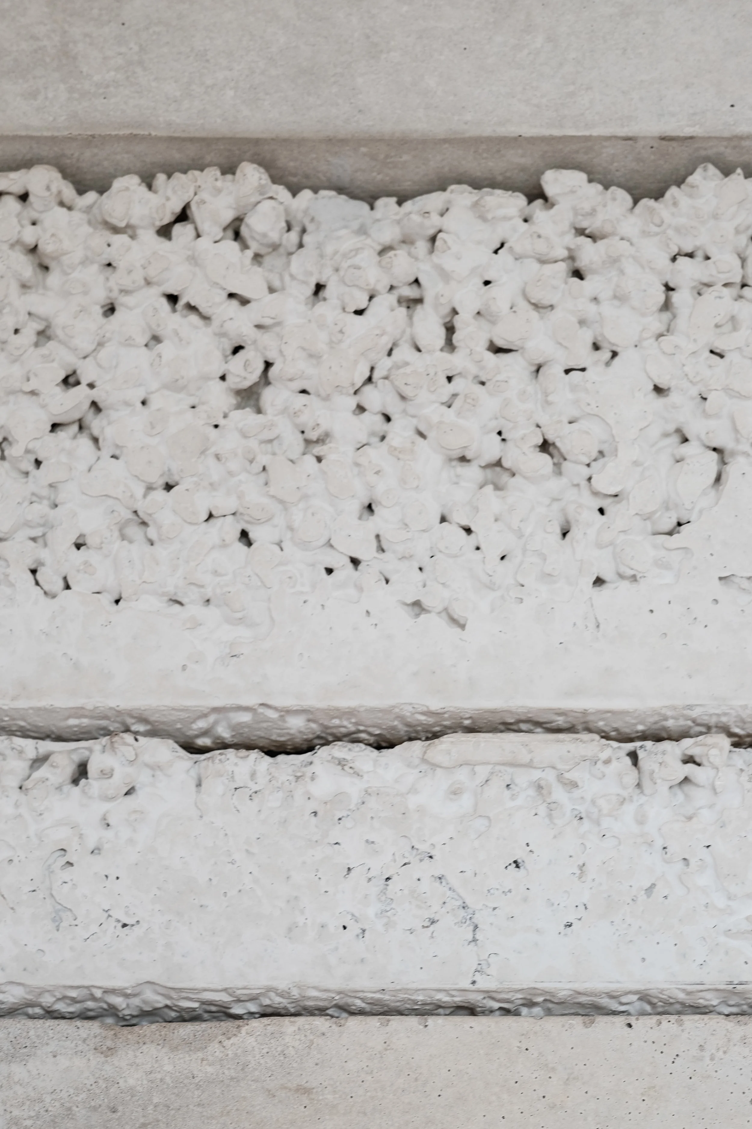 core samples — Isla Chaney