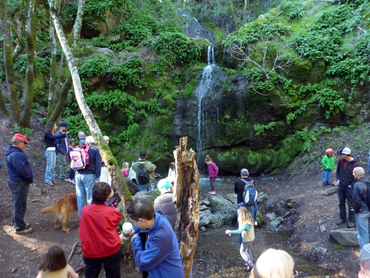 Top 10 Marin County Waterfall Hikes — Ronnie's Awesome List