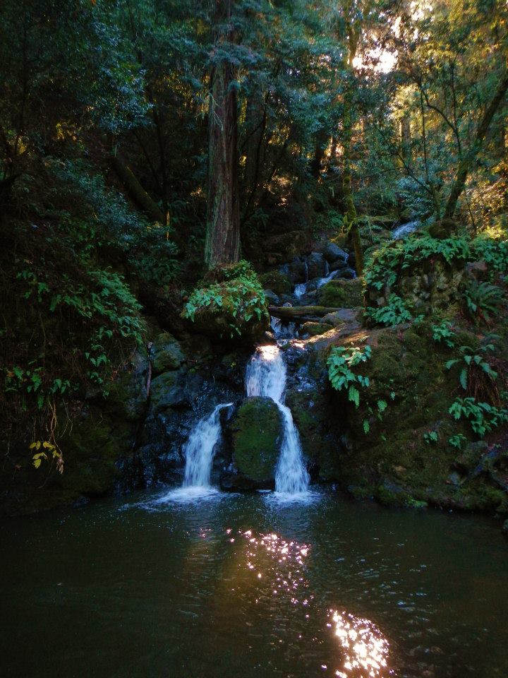 Top 10 Marin County Waterfall Hikes — Ronnie's Awesome List