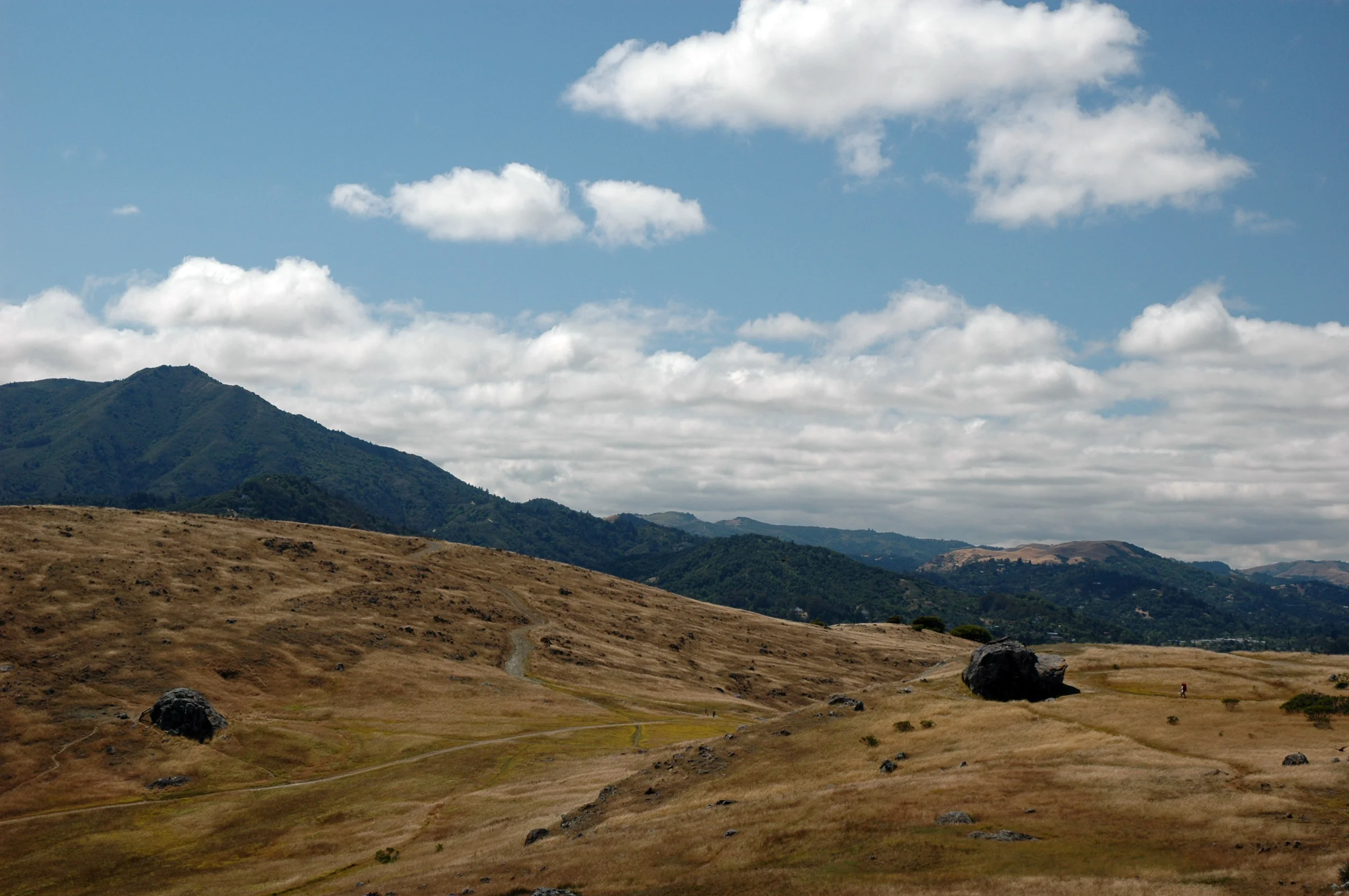 5 Awesome Wildflower Hikes in Marin — Ronnie's Awesome List