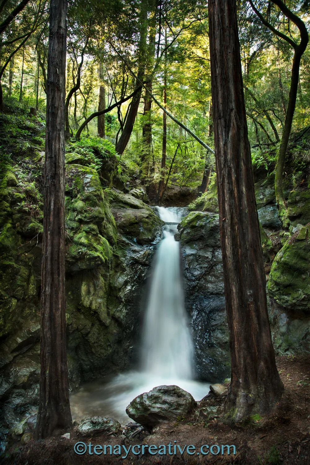 Top 10 Marin County Waterfall Hikes — Ronnie's Awesome List