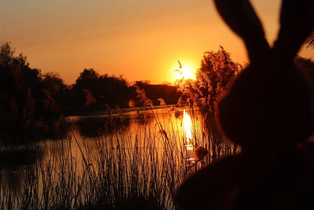 7 Epic Ideas to Help Families Celebrate Easter During the Shelter-in ...